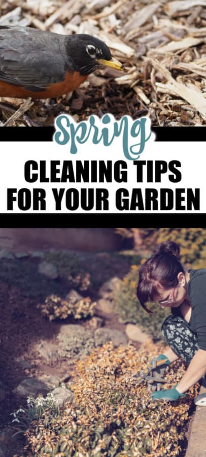 SPRING CLEANING TIPS FOR YOUR GARDEN - Mommy Moment